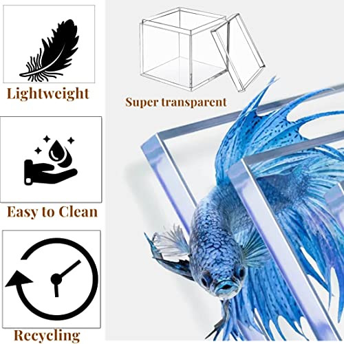 Acrylic Box Large Clear Acrylic Display Boxes with Lid Transparent ...