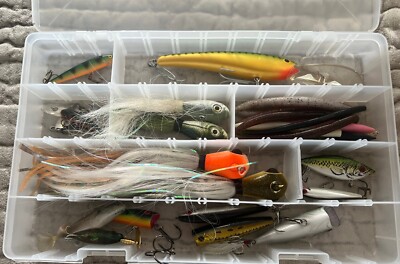 Lot Bass Pro Fishing Tackle Box - Lot of 30 Fishing Lures Tackle | eBay