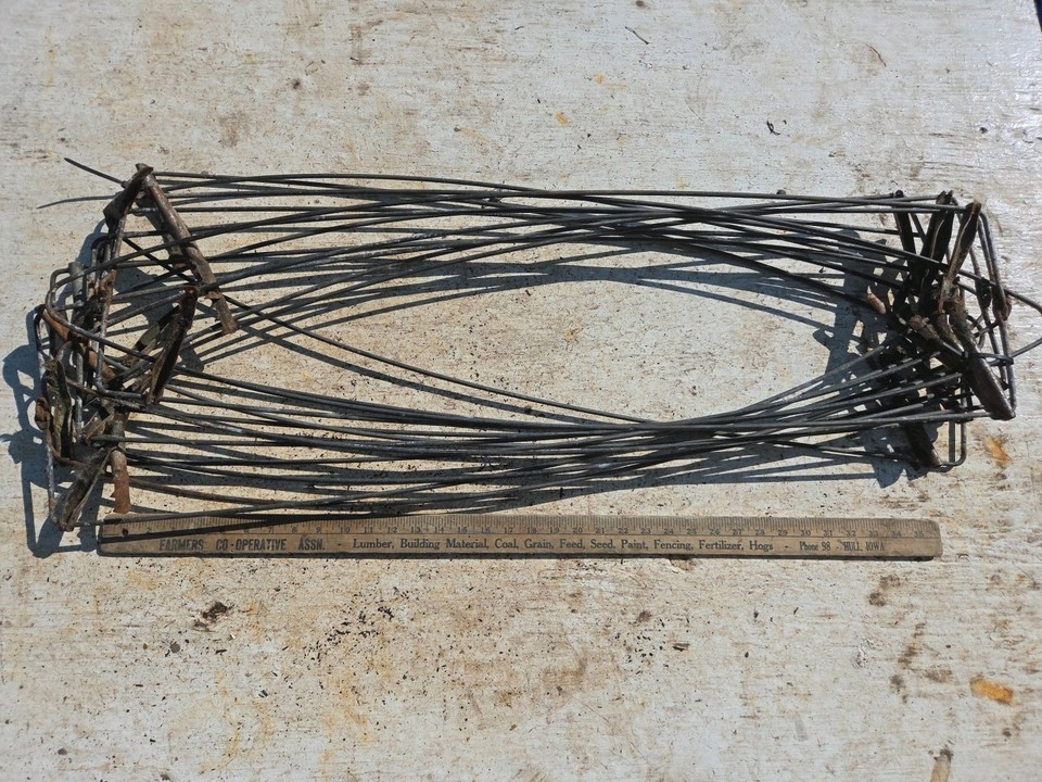 Lot of 12 used #4 Coon Raccoon wire Stretcher trapping Traps Trap 9 "X ...