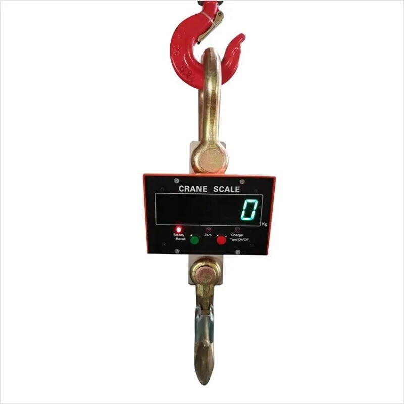 Hanging Weighing Electric Hoist OCS Type Hook Weighing Crane Scale 3T5T10T | eBay