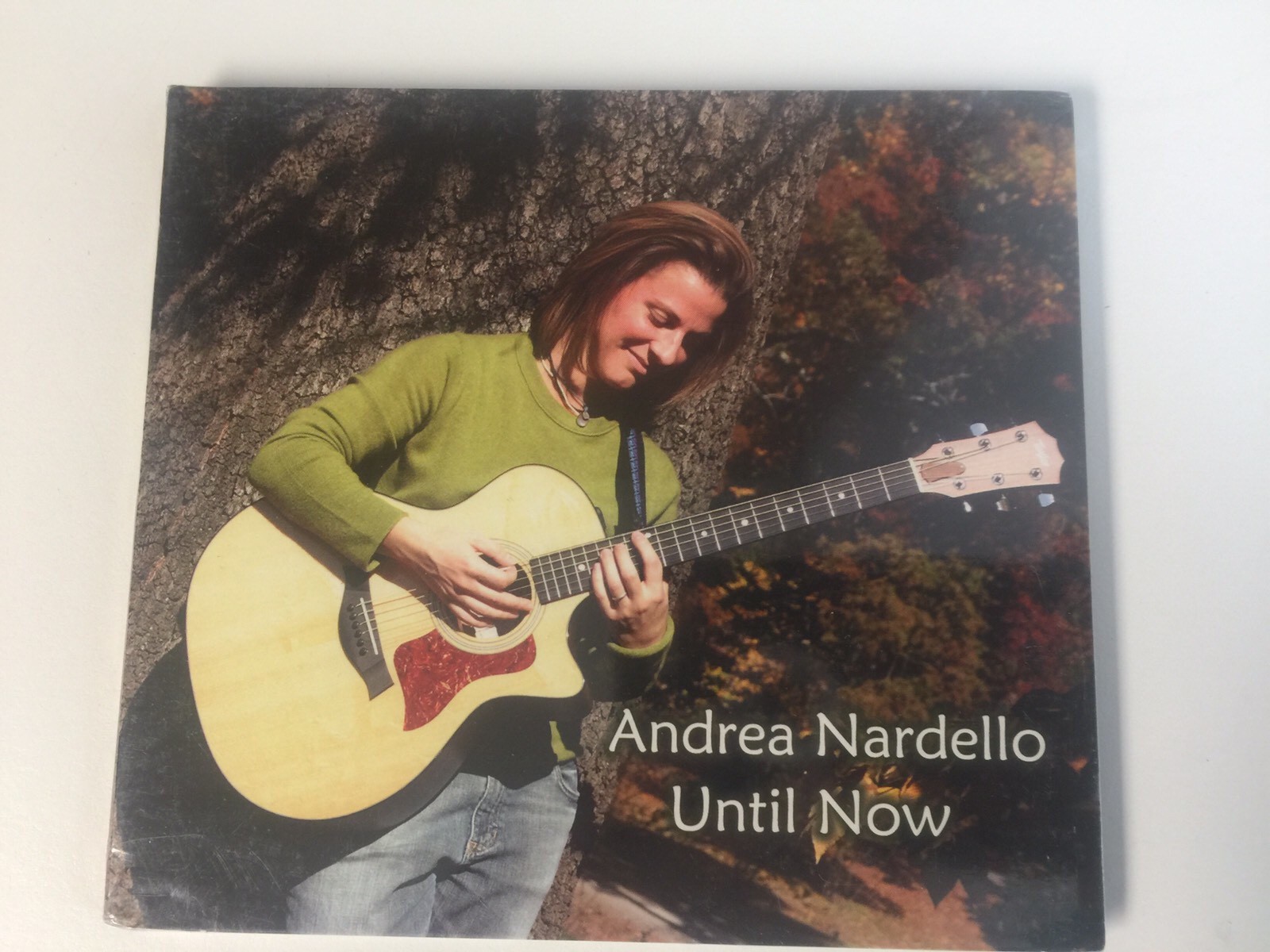 Andrea Nardello CD Until Now SEALED | eBay