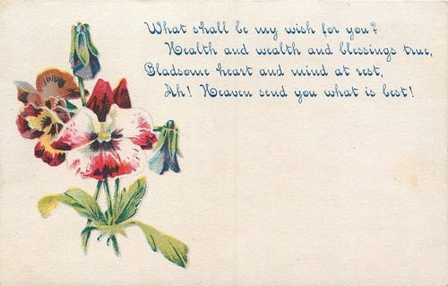 Delicate Pink White Red Purple Pansies~Poem: Mind at Rest~Heaven Send ...