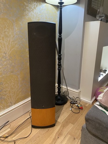 MARTIN LOGAN PURITY HYBRID ELECTROSTATIC FLOOR STANDING SPEAKERS | eBay UK