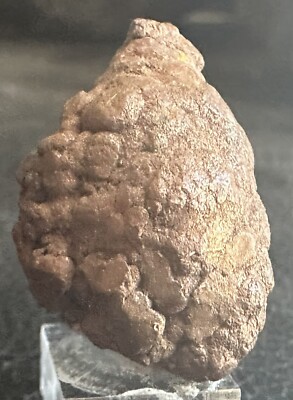 2.3cm Interesting Botryoidal Copper Crystal Group - Arcadian Mine ...