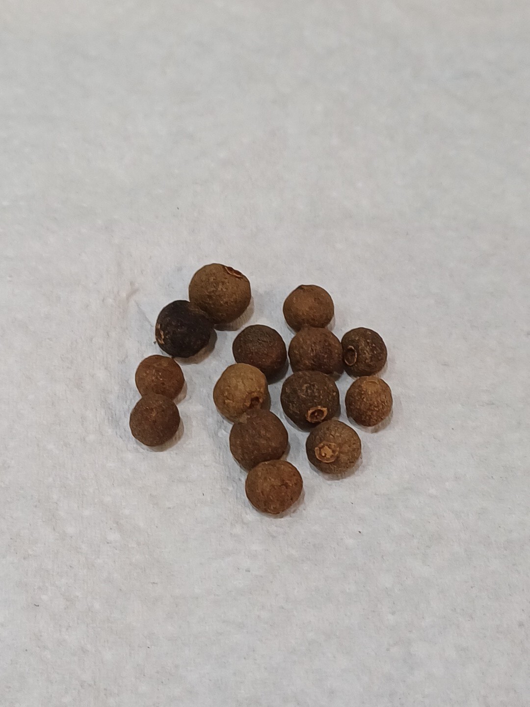 Allspice Berries - Whole Dried Pimento Mexico Jamaican Myrtle Pepper ...