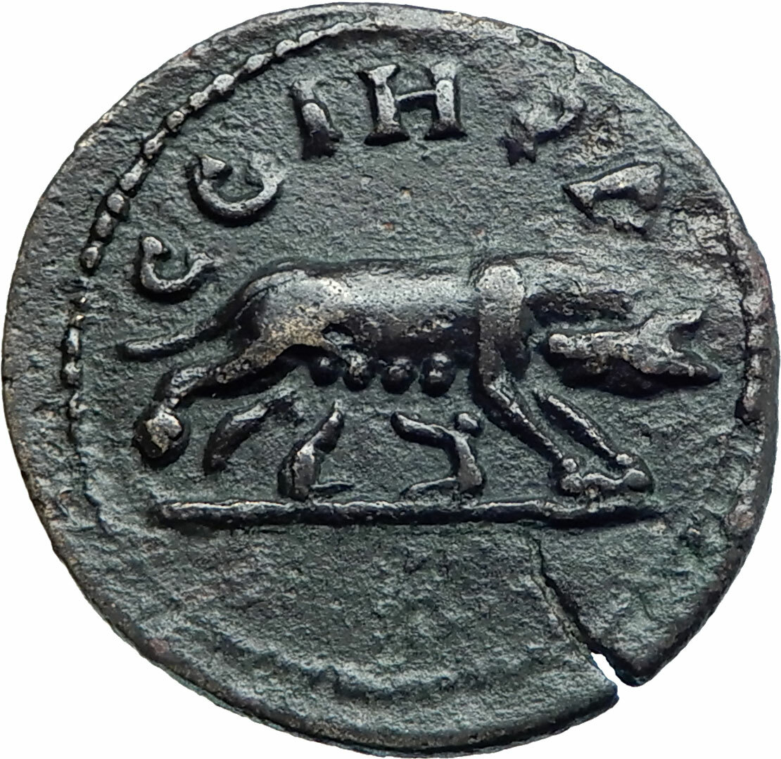 CARACALLA 198AD Parium Parion Mysia Authentic Ancient Roman Coin WOLF ...