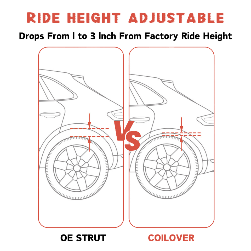 FAPO PS+ 16 Levels damper Coilover Lowering Kit for NISSAN MAXIMA 95-99 ...