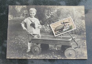 guilol | eBay Stores