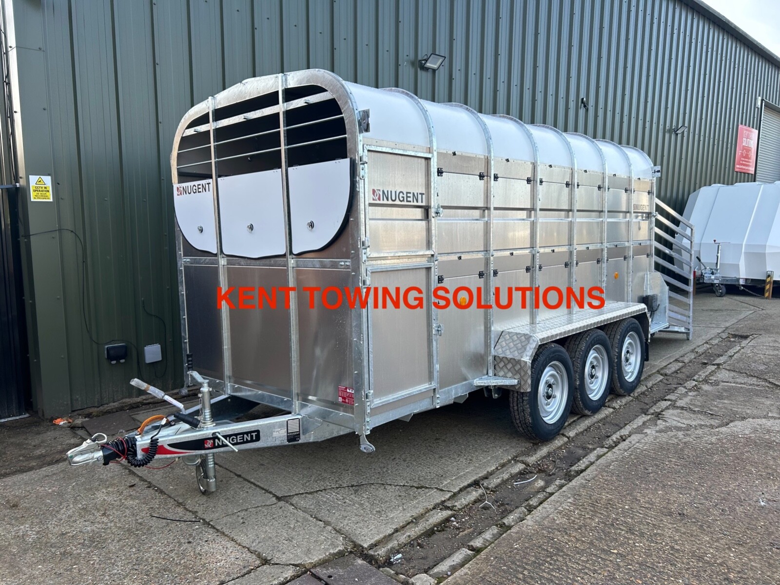 New Nugent L4318T 14ft x 6ft Livestock Sheep Cattle Trailer INC VAT Tri ...
