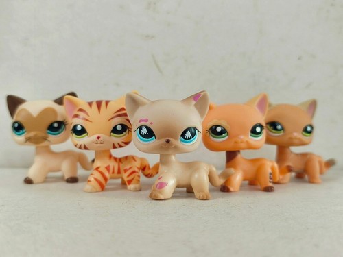 5pcs/lot Littlest Pet Shop Figure LPS Cat #3573#1451#816#1643#790 Kid ...