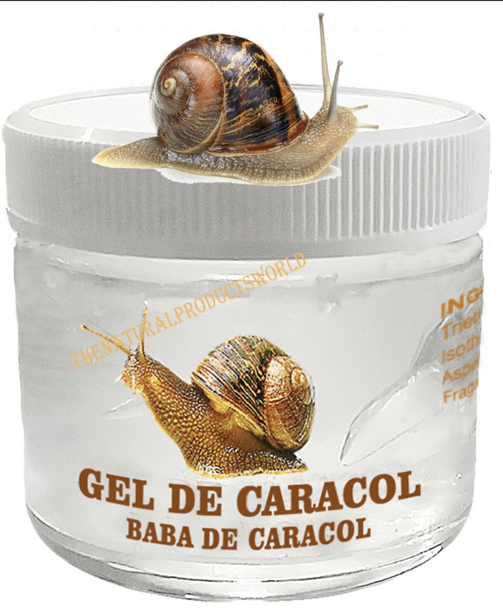 Animal Caracol El Caracol Rey Pintura Digital Realizada Con Los