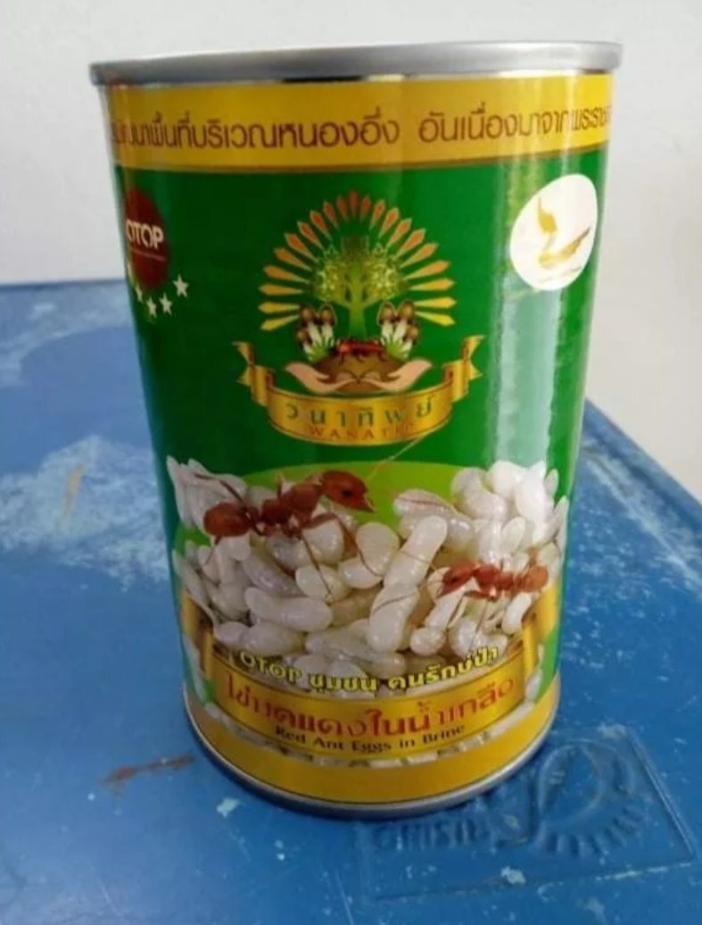 red ant eggs ant eggs in brine from Thailand | eBay