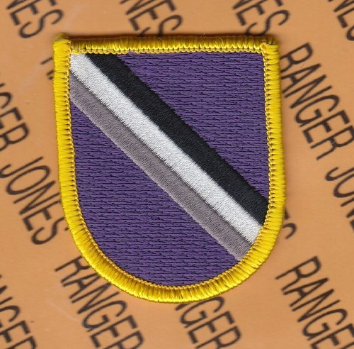 USACAPOC 95th Civil Affairs Bn CA Airborne beret flash patch B m/e | eBay