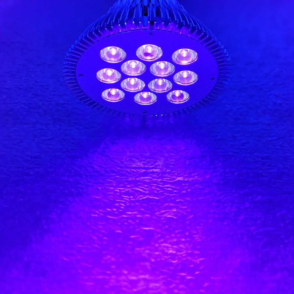 36W UV 395nm~400nm PAR38 Ultraviolet Purple LED Lamp Spot Light Bulb ...