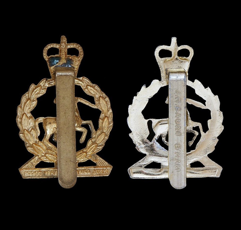 Two EIIR Queen's Crown RAVC Royal Army Veterinary Corps Cap Badges | eBay