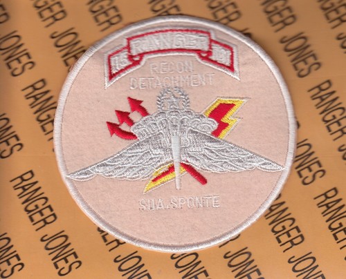 75th Infantry Regt Airborne Ranger RRD HALO MFF Military FreeFall patch ...