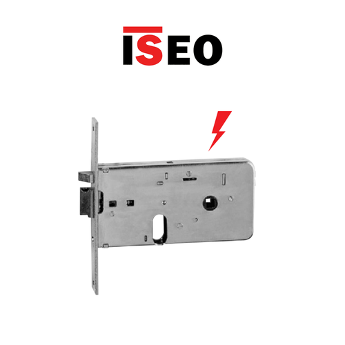 551 Iseo - Zinc Plated Electric Lock For Oval Cylinder Profile | eBay