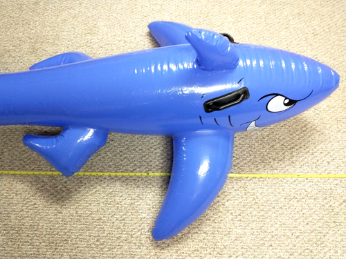 2009 Wet Set Intex Target Happy Shark Ride On Pool Inflatable 67 ...
