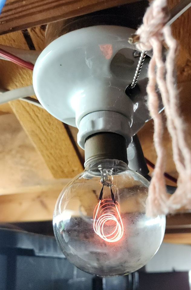 Early 1900's Antique Coiled Filament Varicure 260W Glass Light Bulb ...