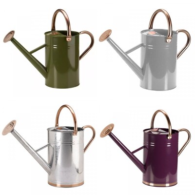 Galvanised Metal Watering Can Long Reach Steel Rose Garden Plant | eBay UK