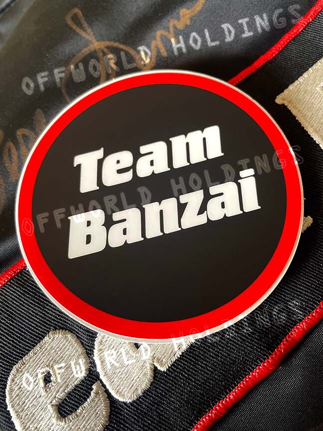 TEAM BANZAI sticker decal BUCKAROO BANZAI Blue Blaze Irregular JET CAR ...