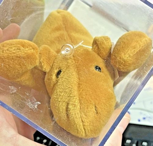 Ty Beanie Baby Humphrey Camel 1st Gen Hang Tag 1st Gen Tush Tag ...
