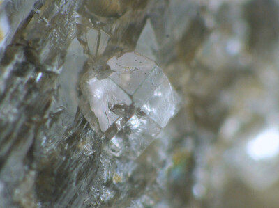 ARCTITE from Kola, Russia * VERY RARE MINERAL in UNIQUE MICROCRYSTALS ...