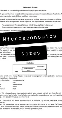 AQA A-level Economics Microeconomics Notes | Grelly UK