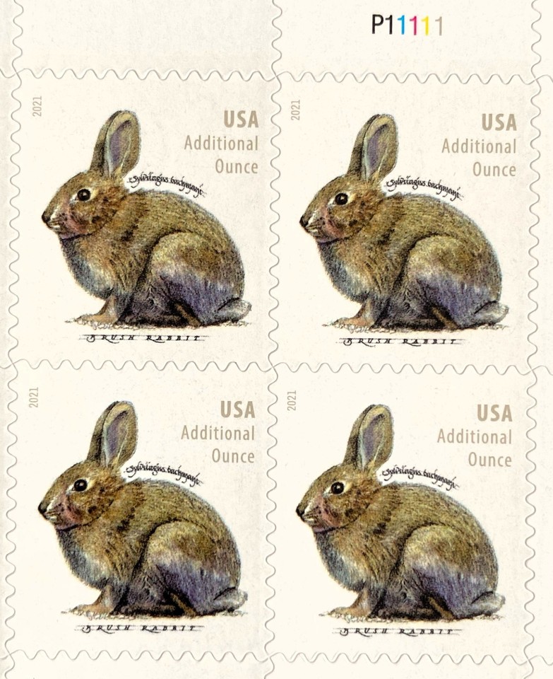 USA 2021 Stamps MNH Brush Rabbit Animals Additional Ounce Block Sheet ...