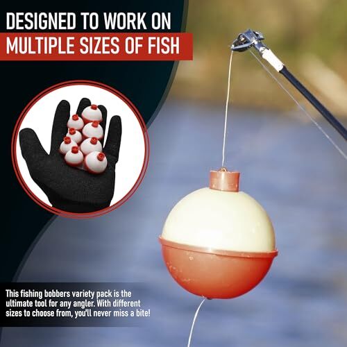 Bobbers for Fishing/Snap on Fishing Bobbers Floats Assortment/Fishing ...