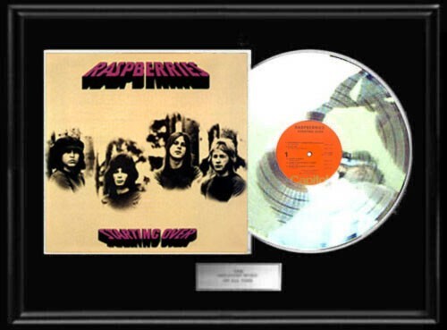THE RASPBERRIES STARTING OVER GOLD PLATINUM RECORD LP NON RIAA AWARD ...