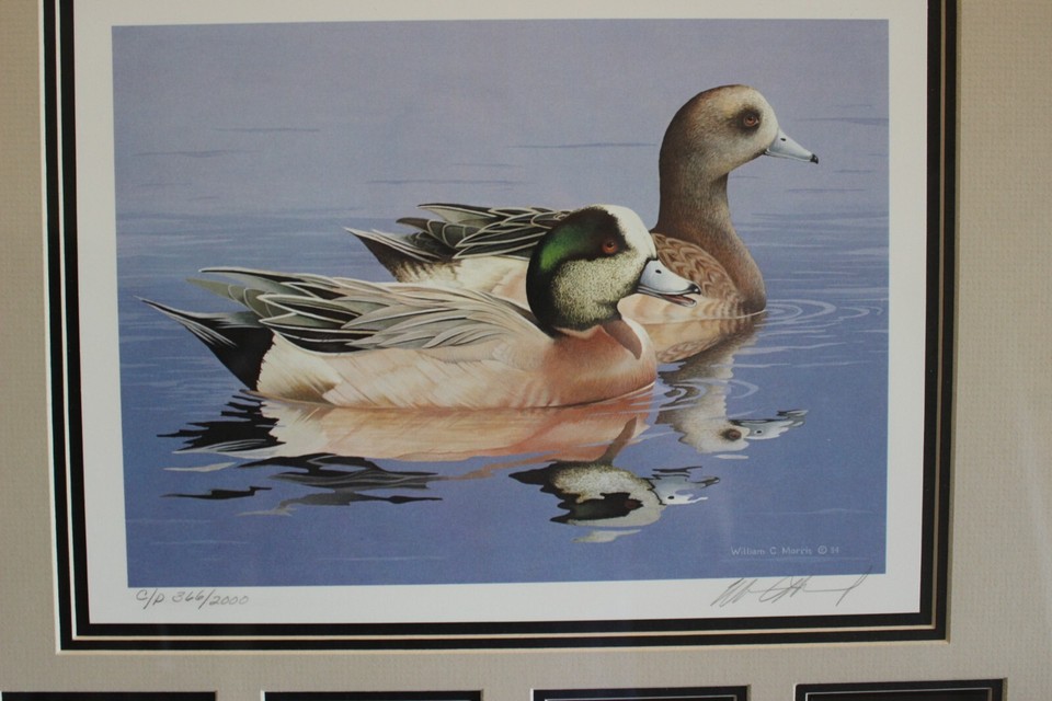 US Federal Duck Stamp framed set RW 1 through RW 15 with artist signed ...