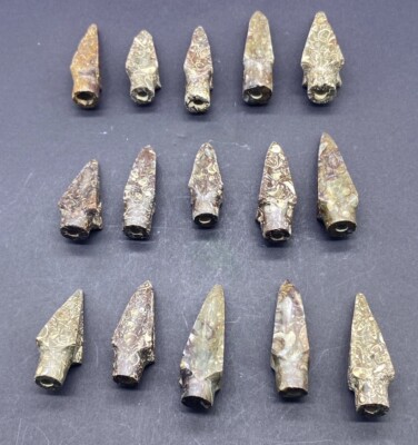 Neolithic & Paleolithic - Arrowheads Lot Of 15