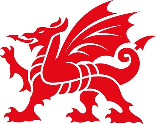 medium car van bonnet sticker red welsh dragon vinyl graphic decal side ...