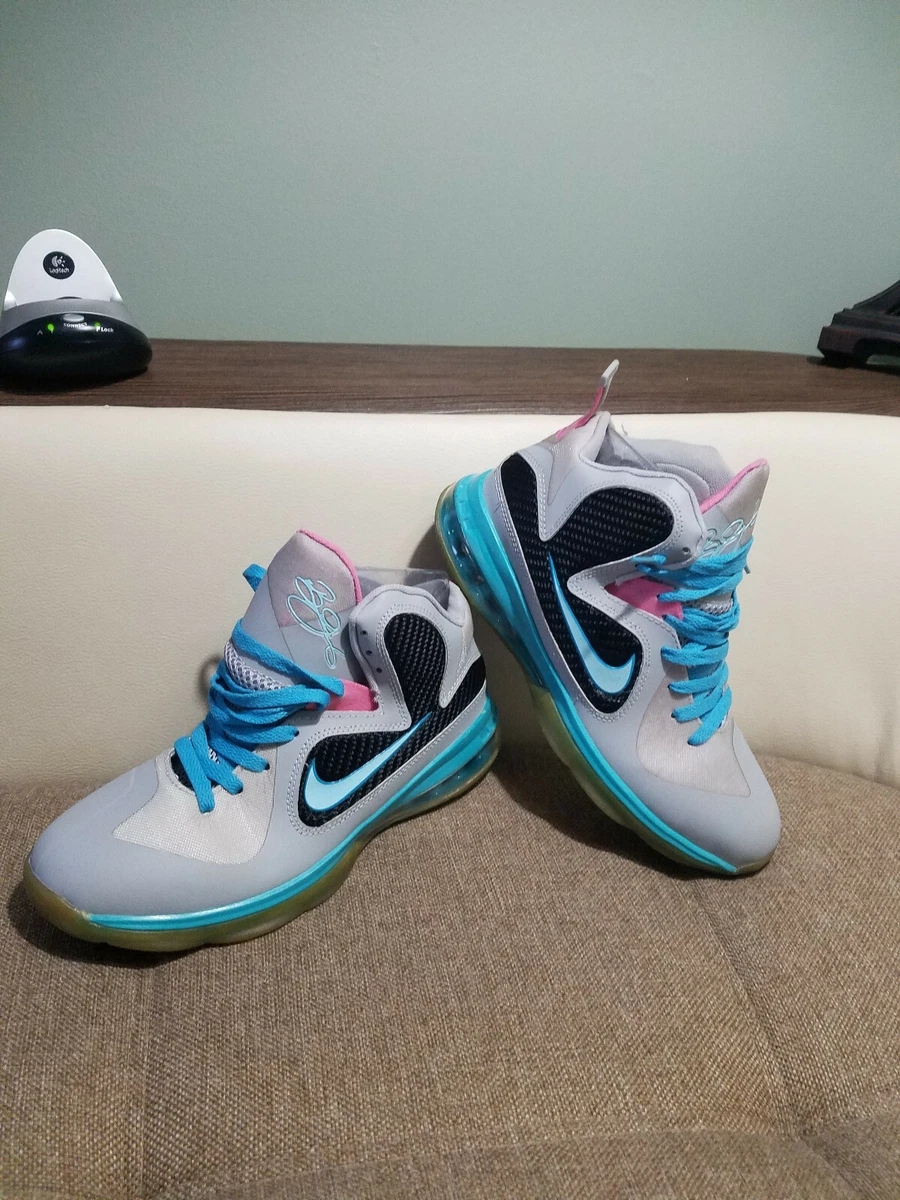 Lebron 9 Dunkman