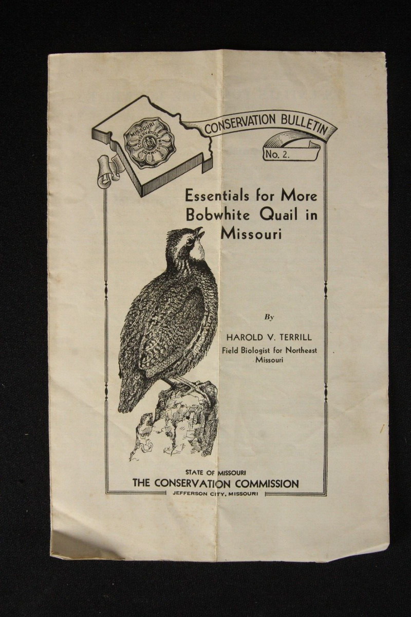 Bobwhite Quail In Missouri