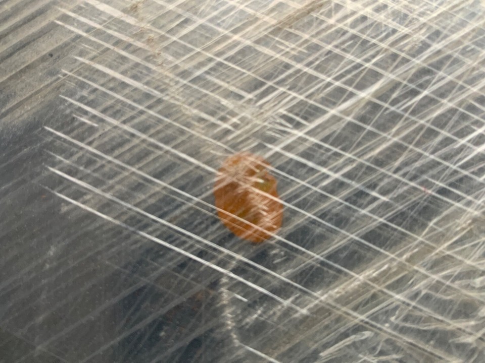 Amazon orange gloss paint 1 lt Sparex agricolour 82885 vintage tractor ...