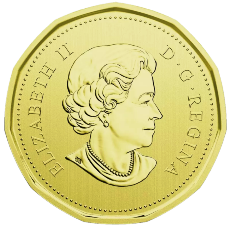 🇨🇦 Rare Canada $1 One Dollar Specimen Coin, Fauna, Birds, Burrowing Owl ...