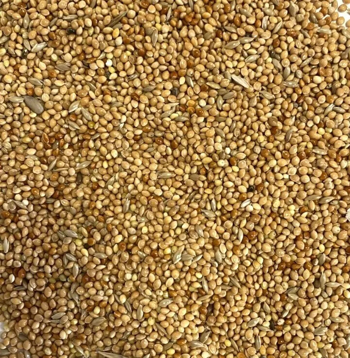Budgie Food Seed Mix Special Blend Red Yellow Millet Canary Seed ...
