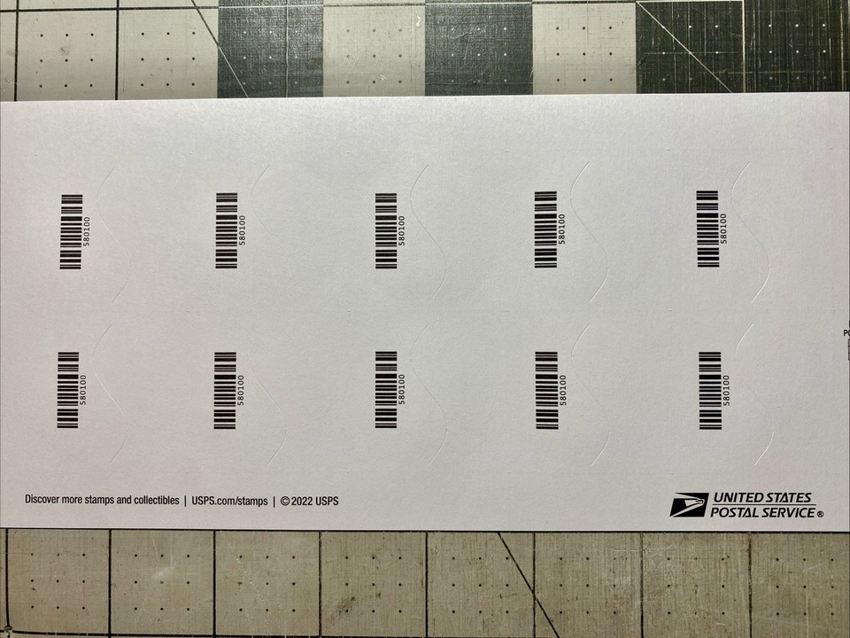 Brand New USPS African Daisy 2022 Plate Block of TEN (10) Stamps ...