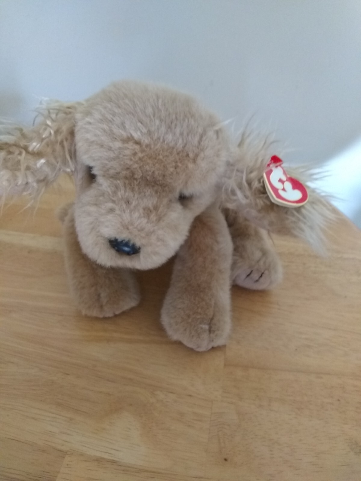 TY Classic CORKY Dog Cocker Spaniel Beanie Buddy Tan Plush Stuffed ...