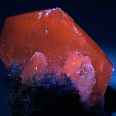 265.5g Natural White Shell Fluorescent Calcite Mineral Specimen/Fujian ...