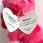 TY Beanie Boo Plush toy ROMEO Pink Dog Glitter Eyes heart hot pink ...