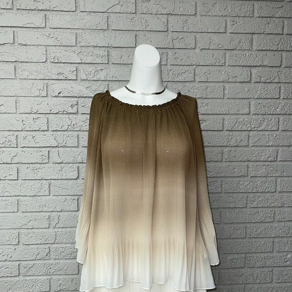 Ruby Rd Ombré Accordion Pleat Blouse Size XLP - Gem
