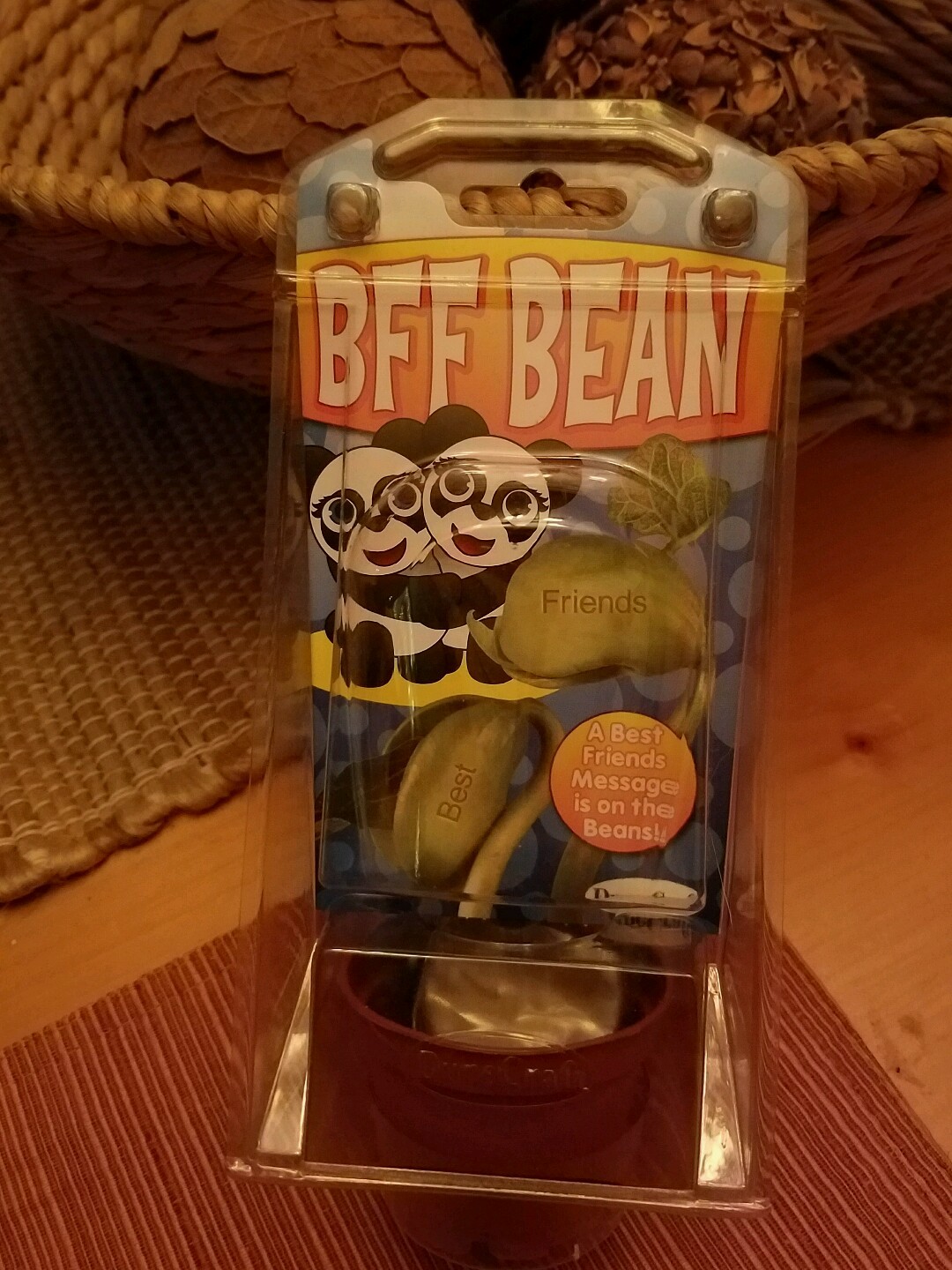 best friend bean plant | eBay