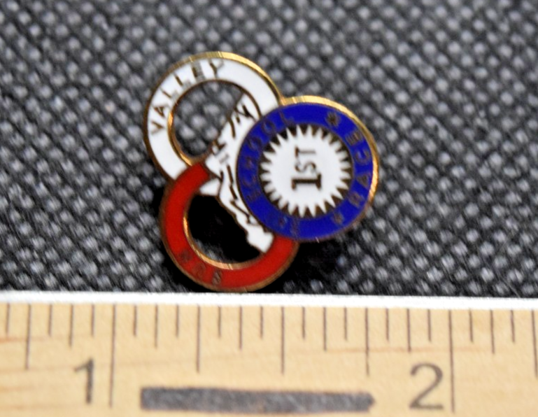 Sun Valley Ski Resort Idaho Ski School Race 1st Place Ski Lapel Pin | eBay