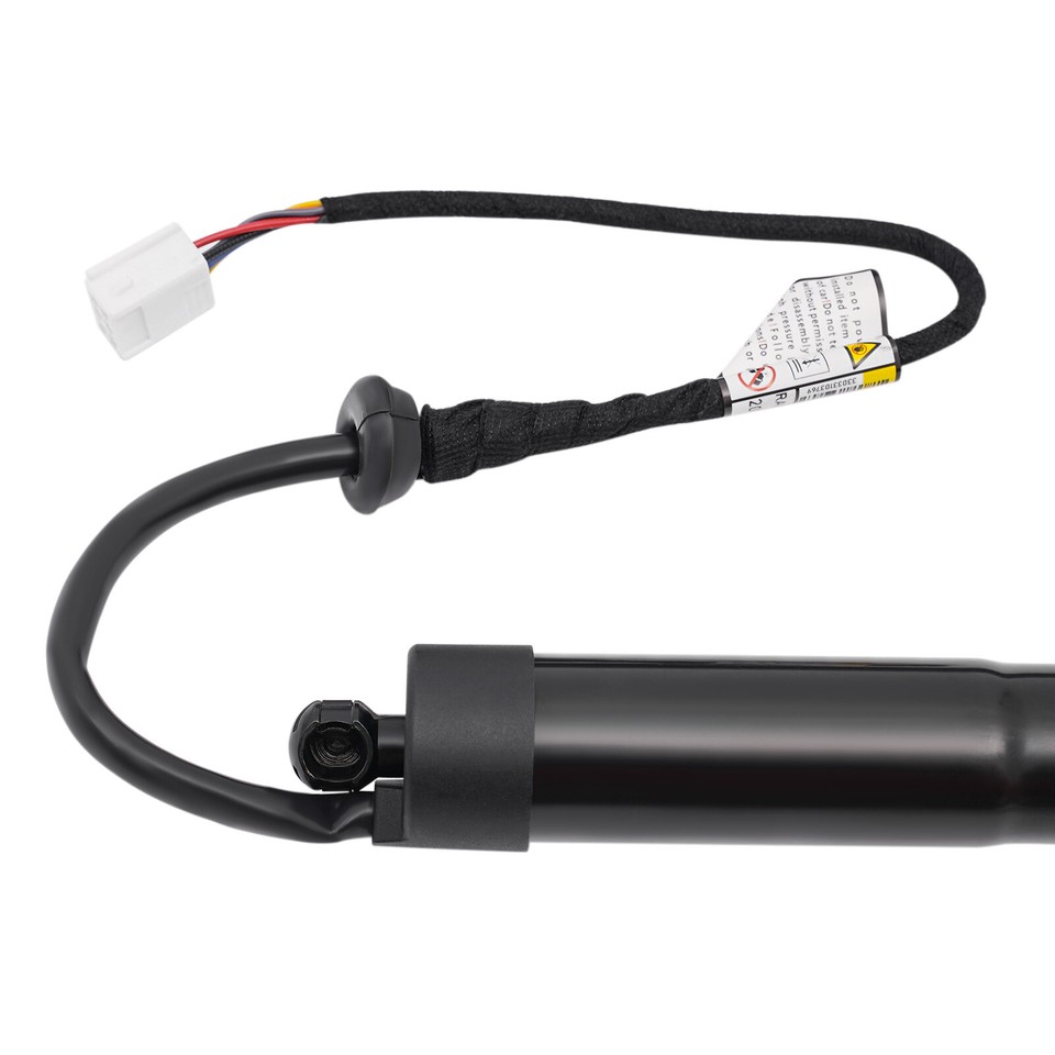 Pack of 2 6892042020 for Toyota RAV4 2019-2022 Rear Tailgate Hatch Lift ...