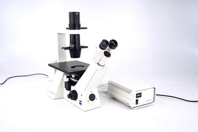 Zeiss Axiovert 40 Invertito Fluorescence Microscopio Inverso | eBay