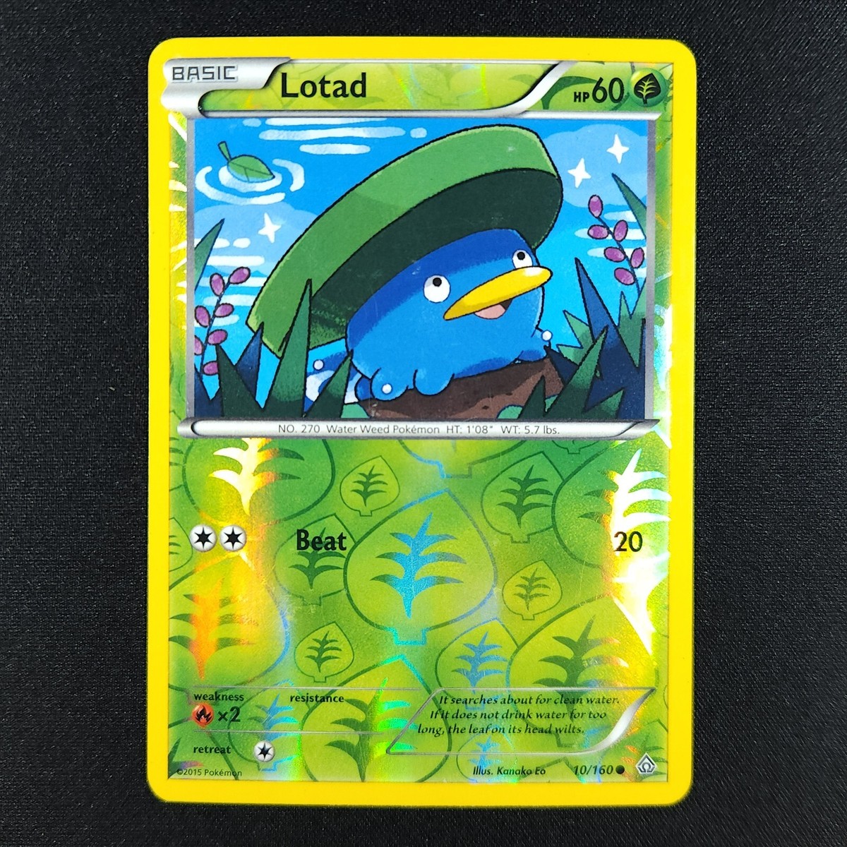 Pokemon Lotad Card