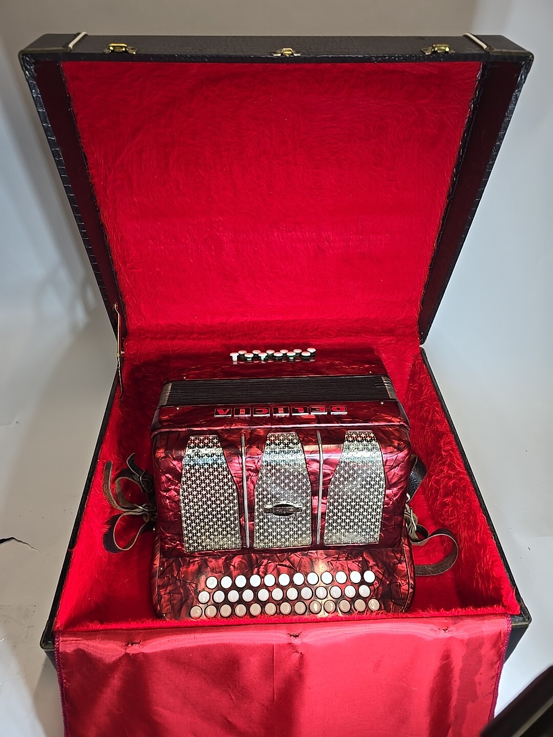 Red Delicia Favorit III Steirische Diatonic Button Accordion Hard Case ...